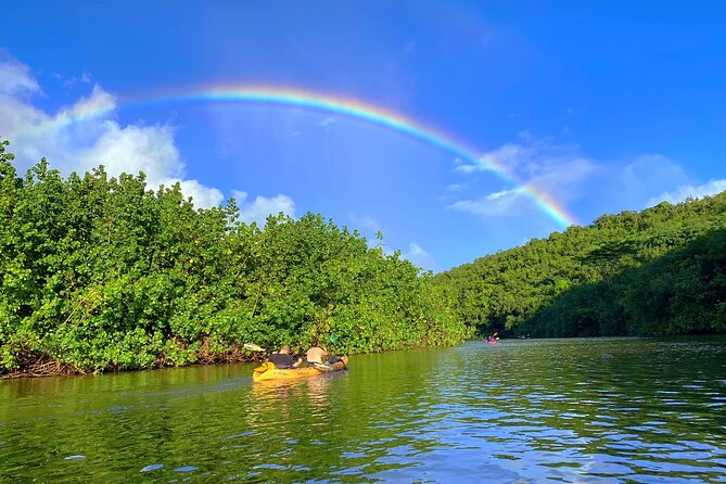 Kauai Adventure: Kayak & Hike to Secret Falls with Expert Guide - The Sum Up