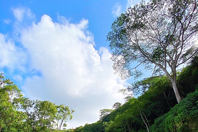 Kauai Adventure: Kayak & Hike to Secret Falls with Expert Guide - FAQ