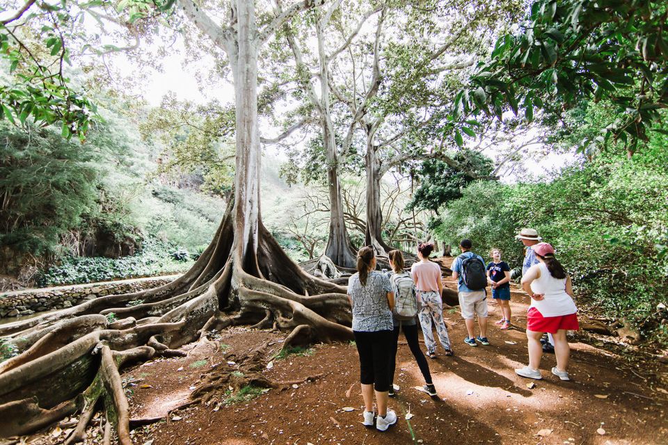 Kauai: Allerton Garden and Estate Tour with Sunset Dinner - Who Will Love This Experience?