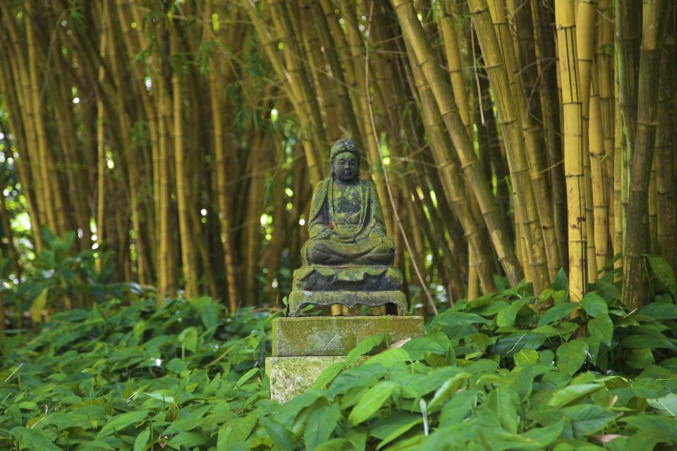 Kauai: Allerton Garden and Estate Tour with Sunset Dinner - Final Thoughts