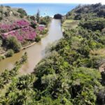 Kauai: Allerton Garden Guided Group Walking Tour - The Itinerary: What You Can Expect