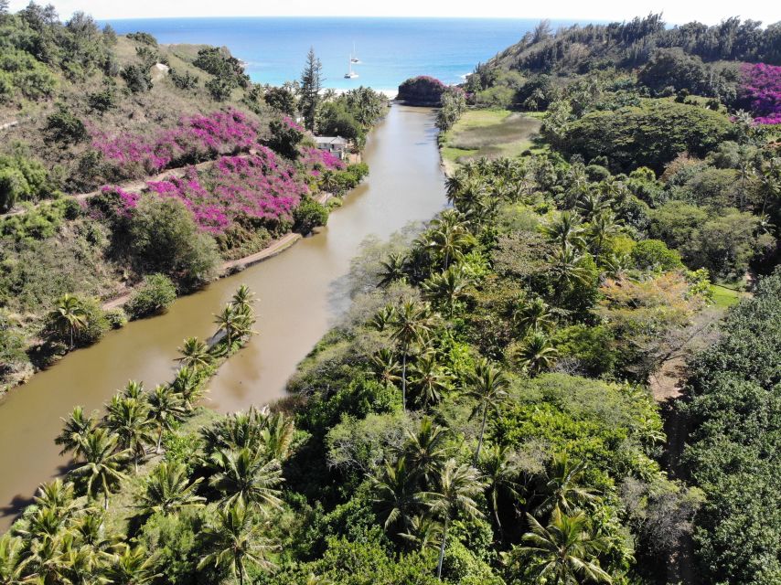 Kauai: Allerton Garden Guided Group Walking Tour - The Itinerary: What You Can Expect