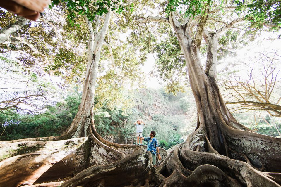 Kauai: Allerton Garden Guided Group Walking Tour - What Makes This Tour Special?