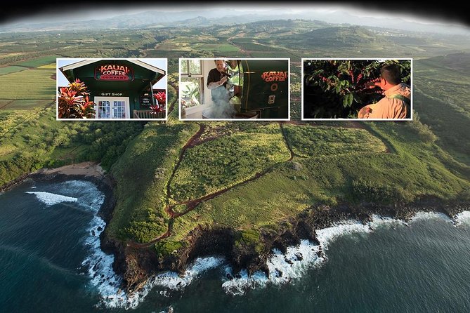 Kauai Canyon Explorer: Private Tour Featuring Waimea & Kokee - The Sum Up: Is This Tour Worth It?