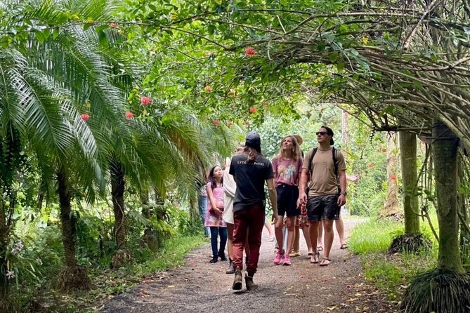 Kauai Chocolate Farm Tasting Tour - The Guides: Knowledgable and Engaging