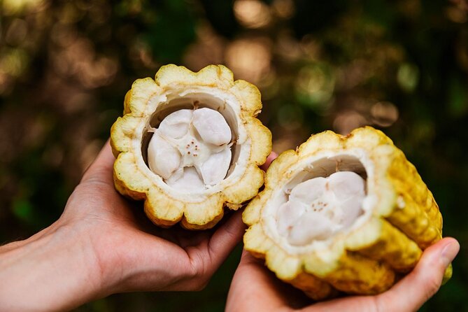Kauai Chocolate Farm Tasting Tour - Final Thoughts