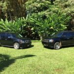 Kauai Cruise Ship Roundtrip Excurision Transfers - Transportation and Service Quality
