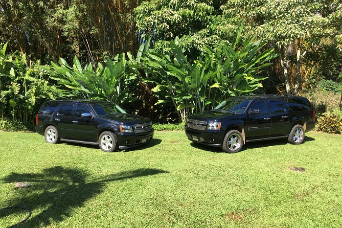 Kauai Cruise Ship Roundtrip Excurision Transfers - Transportation and Service Quality