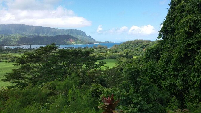 Kauai East Side and North Shore Private Guided Tour - Key Points: