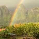 Kauai East Side and North Shore Private Guided Tour - The Sum Up