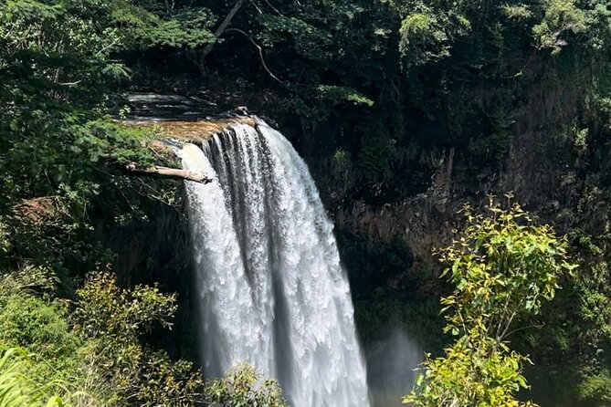 Kauai Eastside & Waterfalls-Shared Small Group Tour - Who Should Book This Tour?