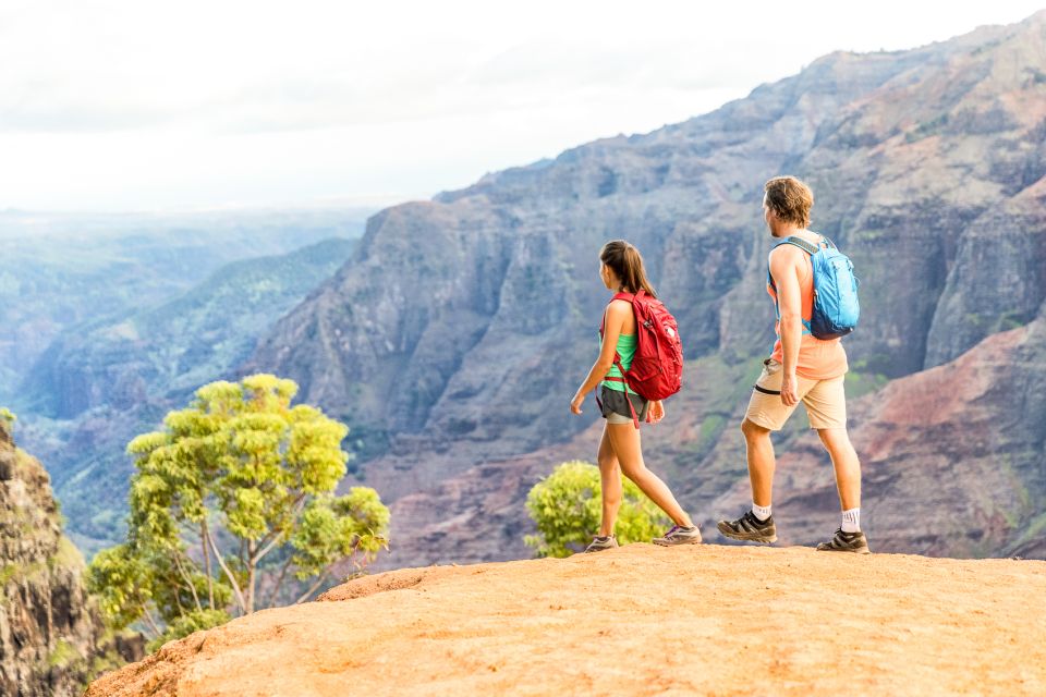 Kauai: Full-Day Waimea Canyon & Wailua River Tour - The Practical Details: Comfort, Cost, and Timing