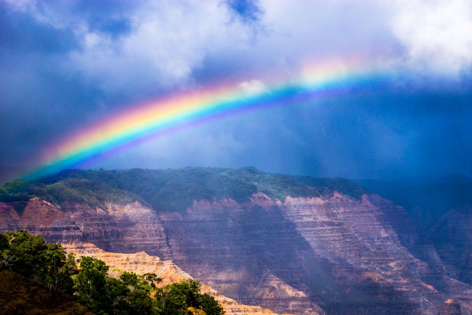 Kauai: Full-Day Waimea Canyon & Wailua River Tour - Who Will Love This Tour?