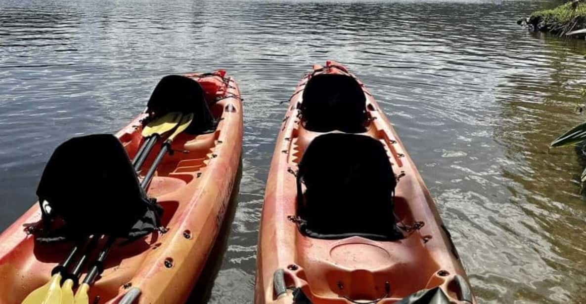 Kauai: Guided Kayak and Hike to Secret Falls - The Significance of Guides and Reviews