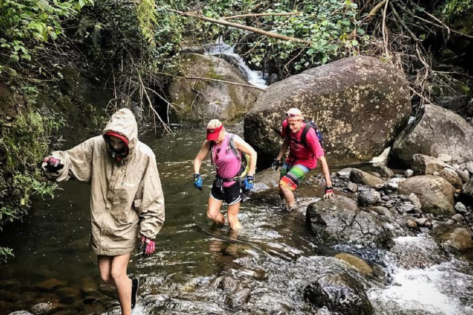 Kauai: Half-Day Kauai Adventure - Who This Tour Is Best For