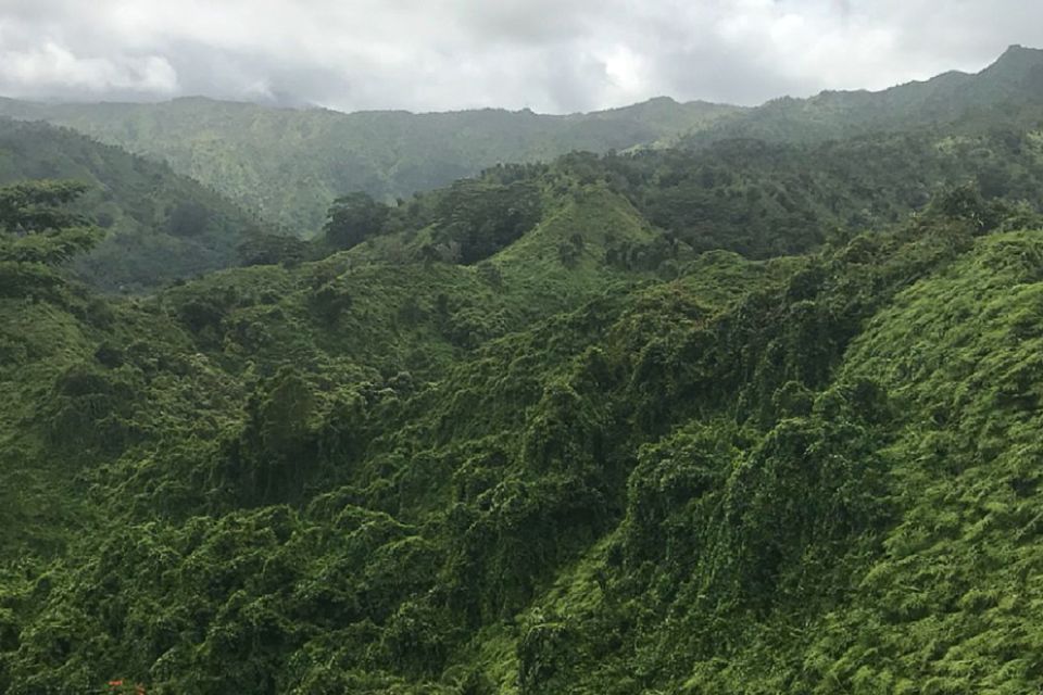 Kauai: Half-Day Kauai Adventure - FAQ