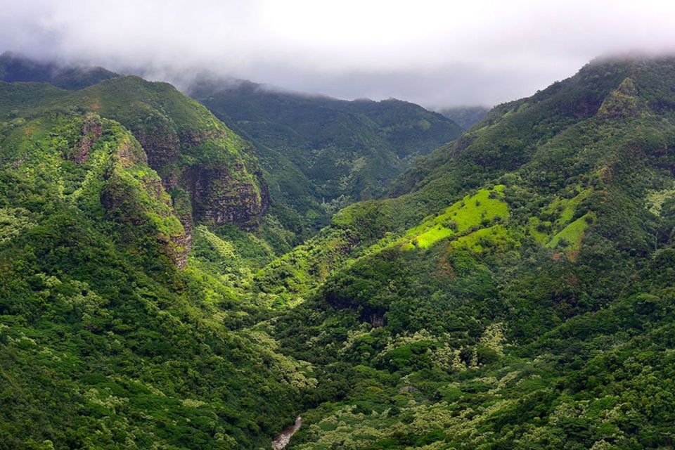 Kauai: Highlights & Movie Sites - A Detailed Look at the Tour
