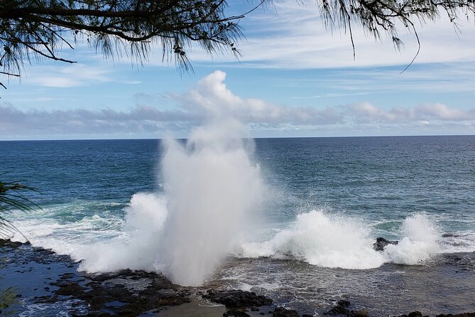 Kauai Island Day Trip from Oahu with Airfare Included - Final Thoughts: Is This Tour Worth It?