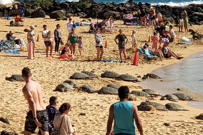 Kauai Island Day Trip from Oahu with Airfare Included - Frequently Asked Questions (FAQs)