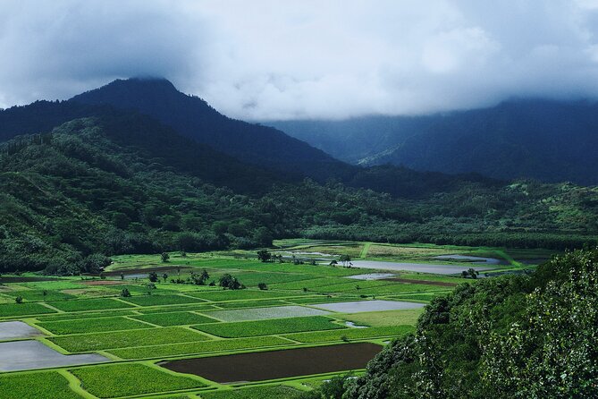 Kauai Island Private Guided Movie Tour from Poipu - Key Points