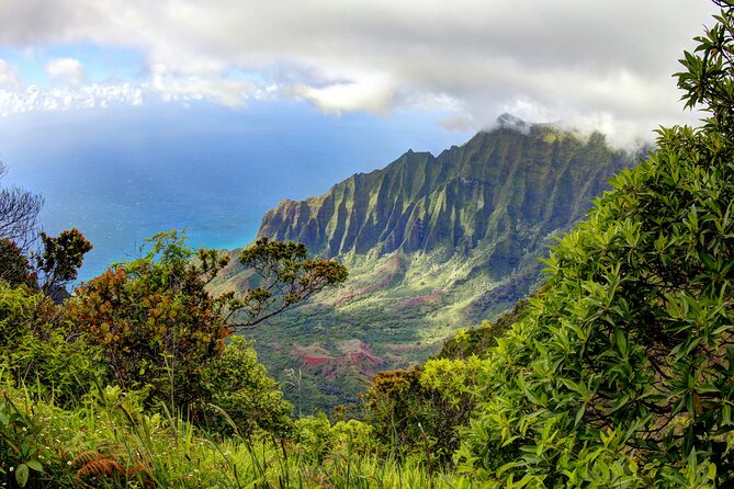 Kauai Island Private Guided Tour-Waimea Canyon from Poipu/Koloa - The Itinerary in Detail: What to Expect at Each Stop