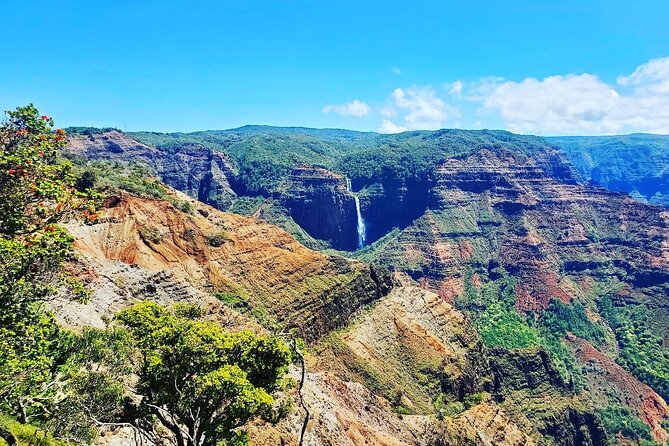 Kauai Island Private Guided Tour-Waimea Canyon from Poipu/Koloa - FAQs