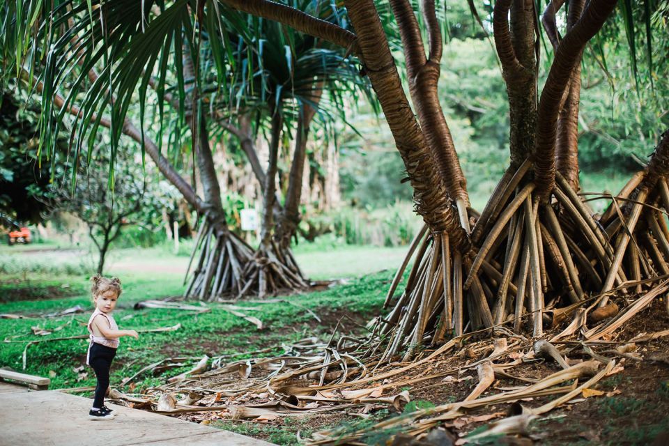 Kauai: McBryde Garden Self Guided Visit - Practical Details and Tips