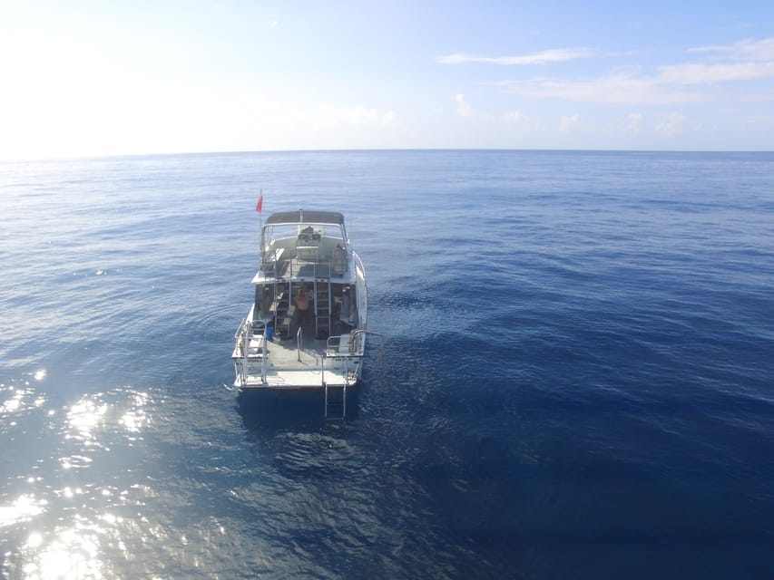 Kauai: Morning 2 Tank Boat Dive for Experienced Divers - Final Thoughts