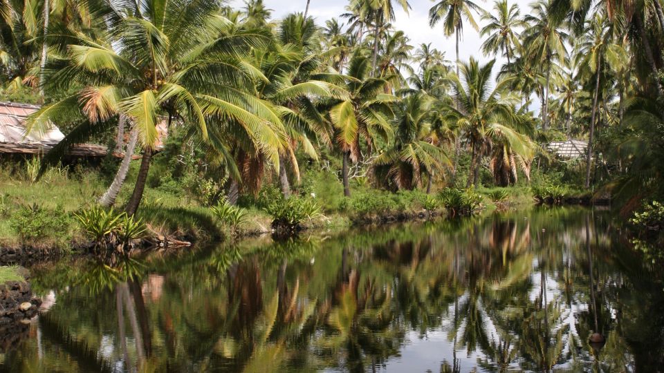 Kauai: Movie Locations Tour - Walking and Accessibility