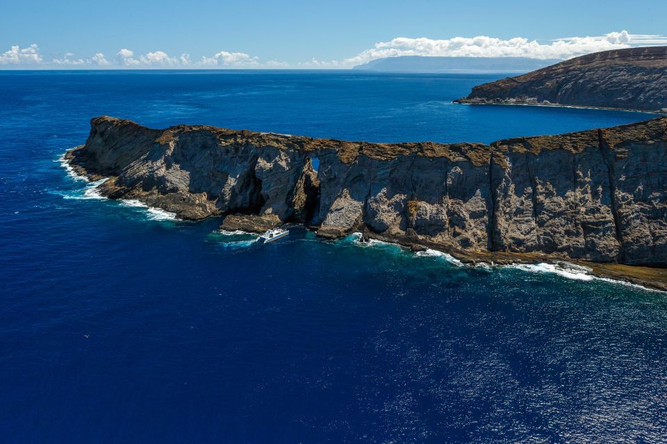 Kauai: Niihau and Na Pali Coast Full-Day Boat Tour - Final Thoughts: Who Should Consider This Tour?