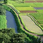 Kauai Northeast Tour, Fern Grotto River Cruise & Lighthouse - The Scenic Drive: Landmarks and Lookouts