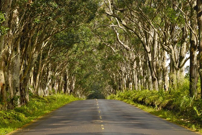 Kauai Poipu and Koloa Town Self-Guided Audio Tour - Who Will Love This Tour?