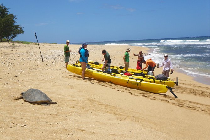 Kauai Sea Kayaking 10 mile tour - Na Pali Iki (Polihale to Milolii) - Detailed Experience Breakdown: Why It Matters 