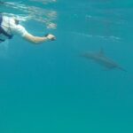 Kauai Sea Kayaking 10 mile tour - Na Pali Iki (Polihale to Milolii) - Practical Details: What You Need to Know