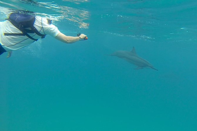 Kauai Sea Kayaking 10 mile tour - Na Pali Iki (Polihale to Milolii) - Practical Details: What You Need to Know