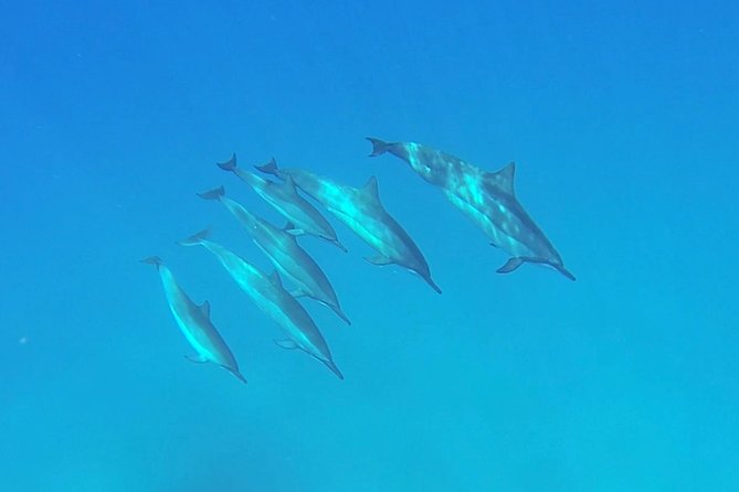 Kauai Sea Kayaking 10 mile tour - Na Pali Iki (Polihale to Milolii) - Summary