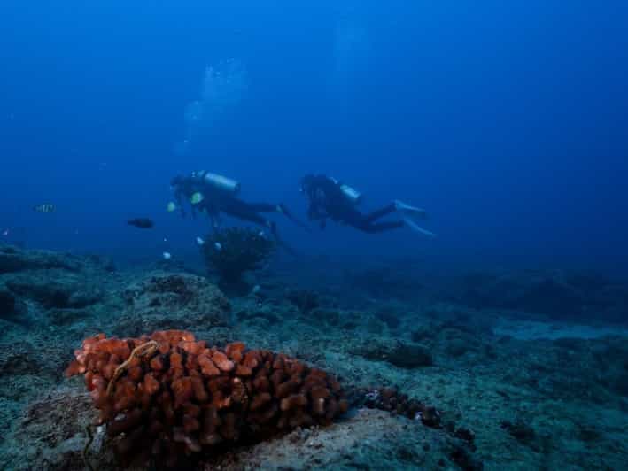 Kauai: Shore Diving at Koloa Landing, Poipu - Practical Tips