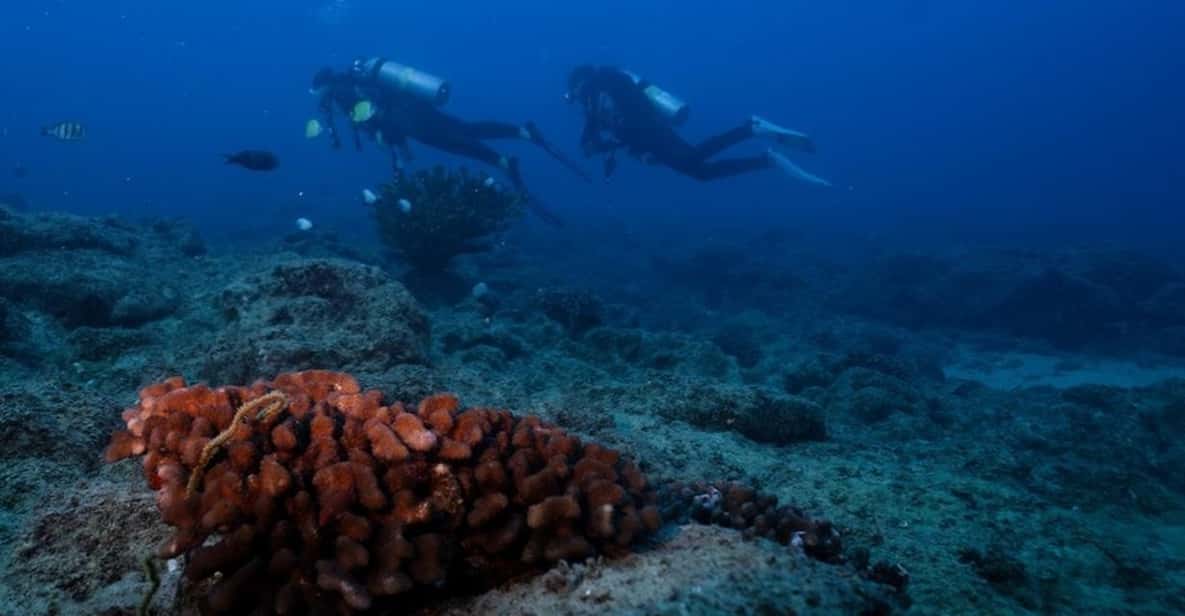 Kauai: Shore Diving at Koloa Landing, Poipu - What Reviewers Love