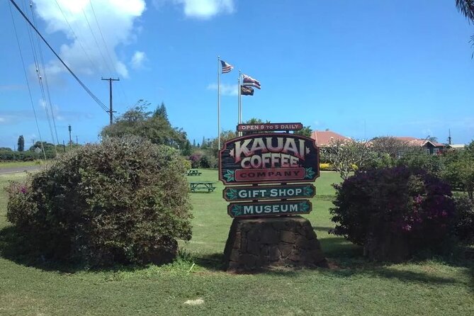 Kauai Shore Excursion - Waimea Canyon Adventure Tour - Nawiliwili - The Comfort and Convenience of the Tour