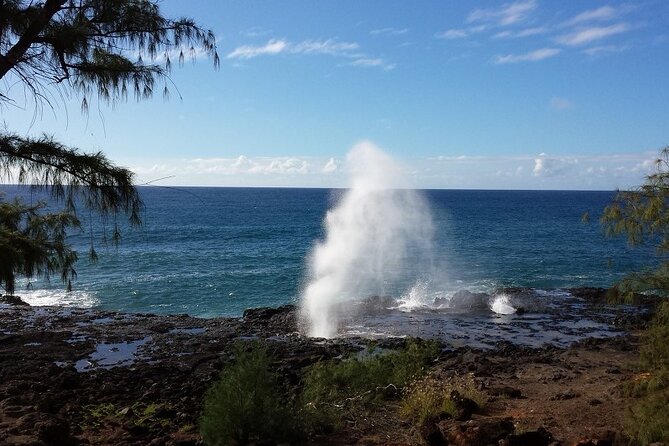 Kauai Shore Excursion - Waimea Canyon Adventure Tour - Nawiliwili - The Guide’s Role: Making the Experience Special