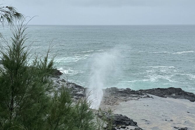Kauai Shore Excursion - Waimea Canyon Adventure Tour - Nawiliwili - Final Thoughts: Who Will Love This Tour?