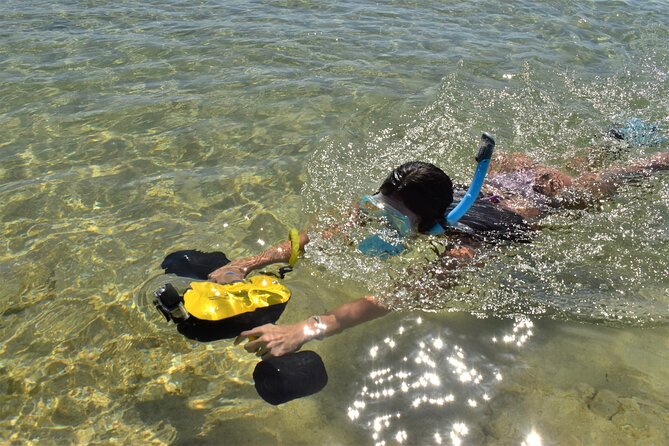 Kauai Snorkeling Adventure - What is the Kauai Snorkeling Adventure?