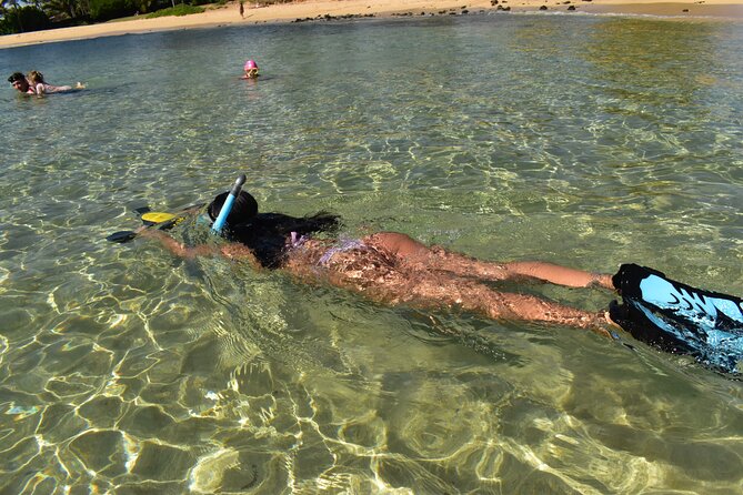 Kauai Snorkeling Adventure - Marine Encounters You Might Experience