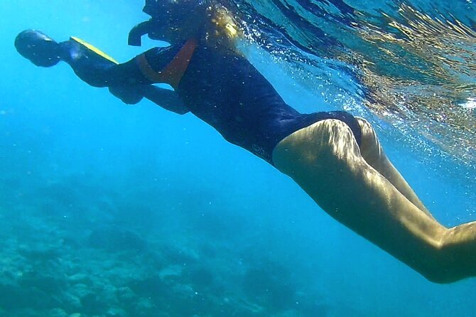Kauai Snorkeling Adventure - The Real Benefits