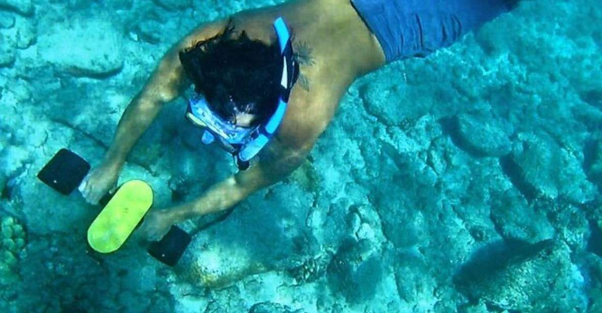Kauai: Snorkeling Adventure with Sea Scooter - The Experience: What You Can Expect