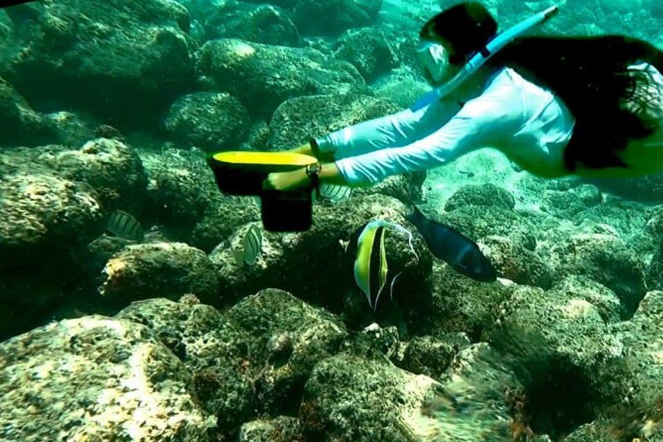 Kauai: Snorkeling Adventure with Sea Scooter - Who Should Consider This Tour?