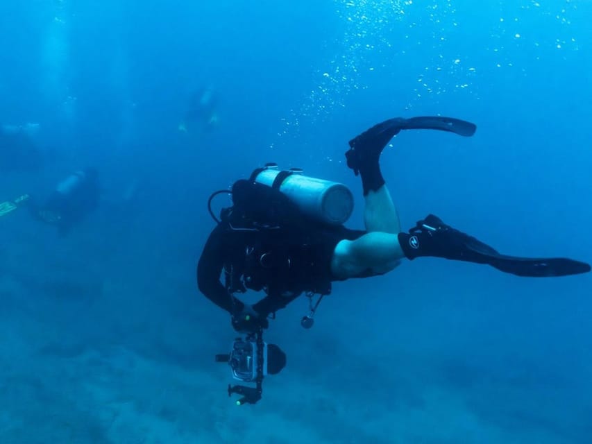 Kauai: Twilight/Night Shore Dive Experience - Introduction
