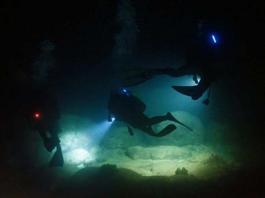 Kauai: Twilight/Night Shore Dive Experience - Why Choose a Night Shore Dive in Kauai?