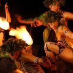 Kauai: VIP 4-Course Manor House Dinner & Luau Kalamaku Show - Who Would Love This Experience?