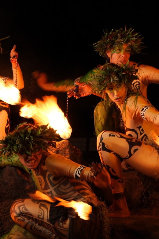 Kauai: VIP 4-Course Manor House Dinner & Luau Kalamaku Show - Who Would Love This Experience?